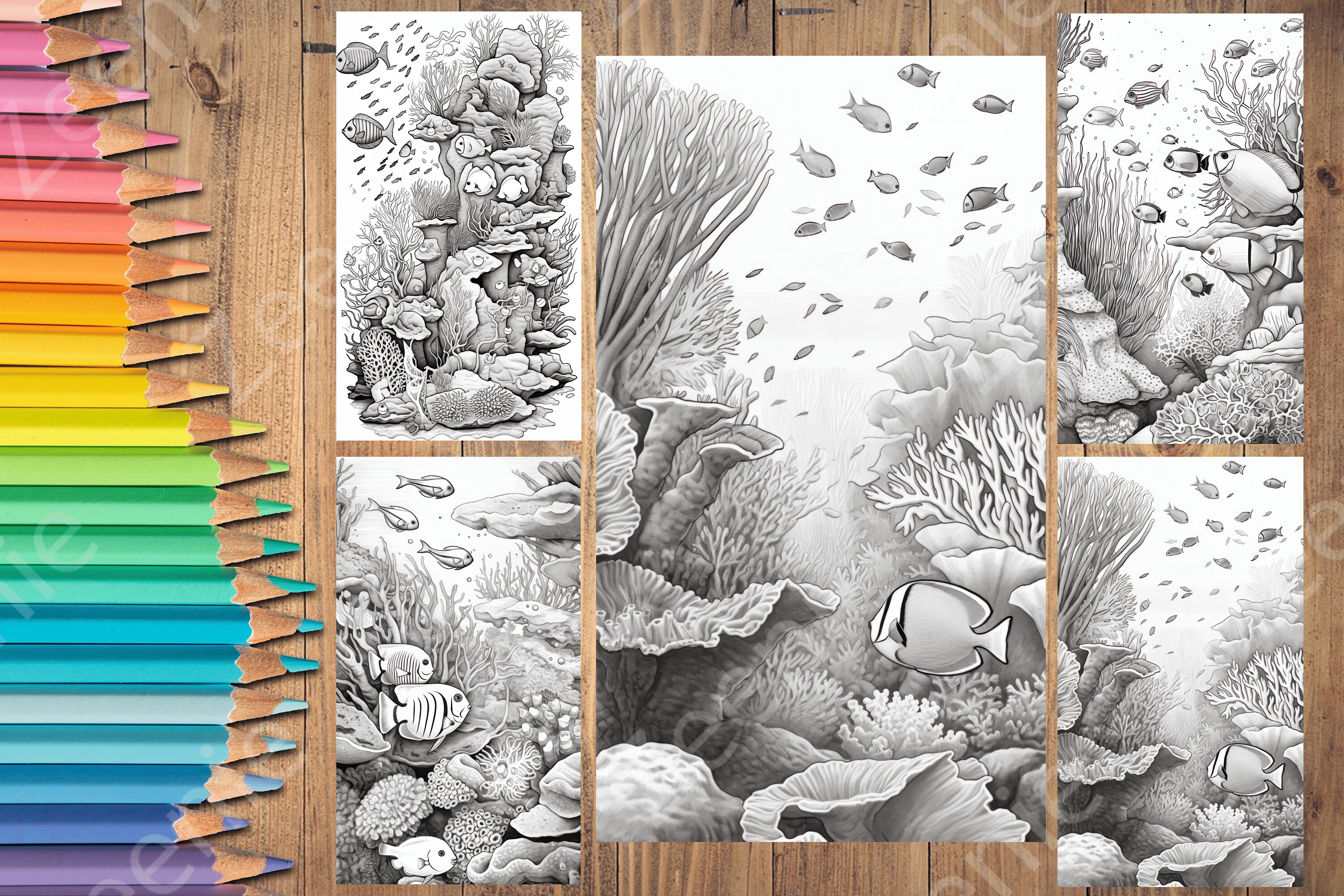 24 Underwater Coral Reef Coloring Book - Adults Kids Coloring Pages ...