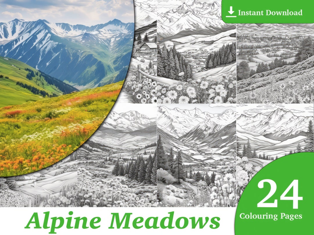 24 Alpine Meadows Coloring Book - Adults Kids Coloring Pages, Instant ...