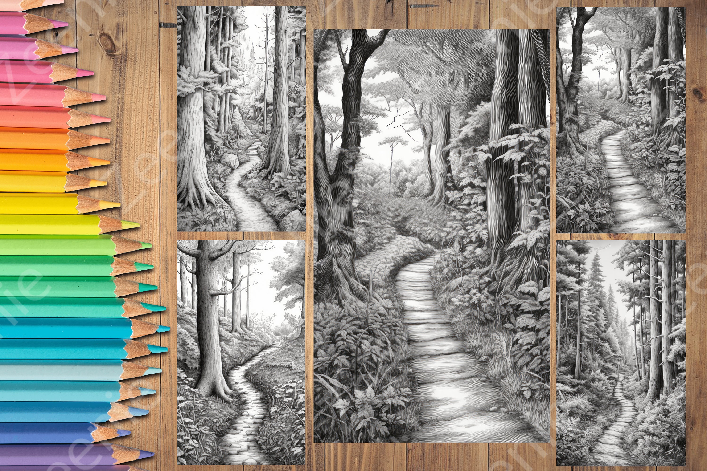 24 Serene Forest Paths Coloring Book - Adults Kids Coloring Pages ...