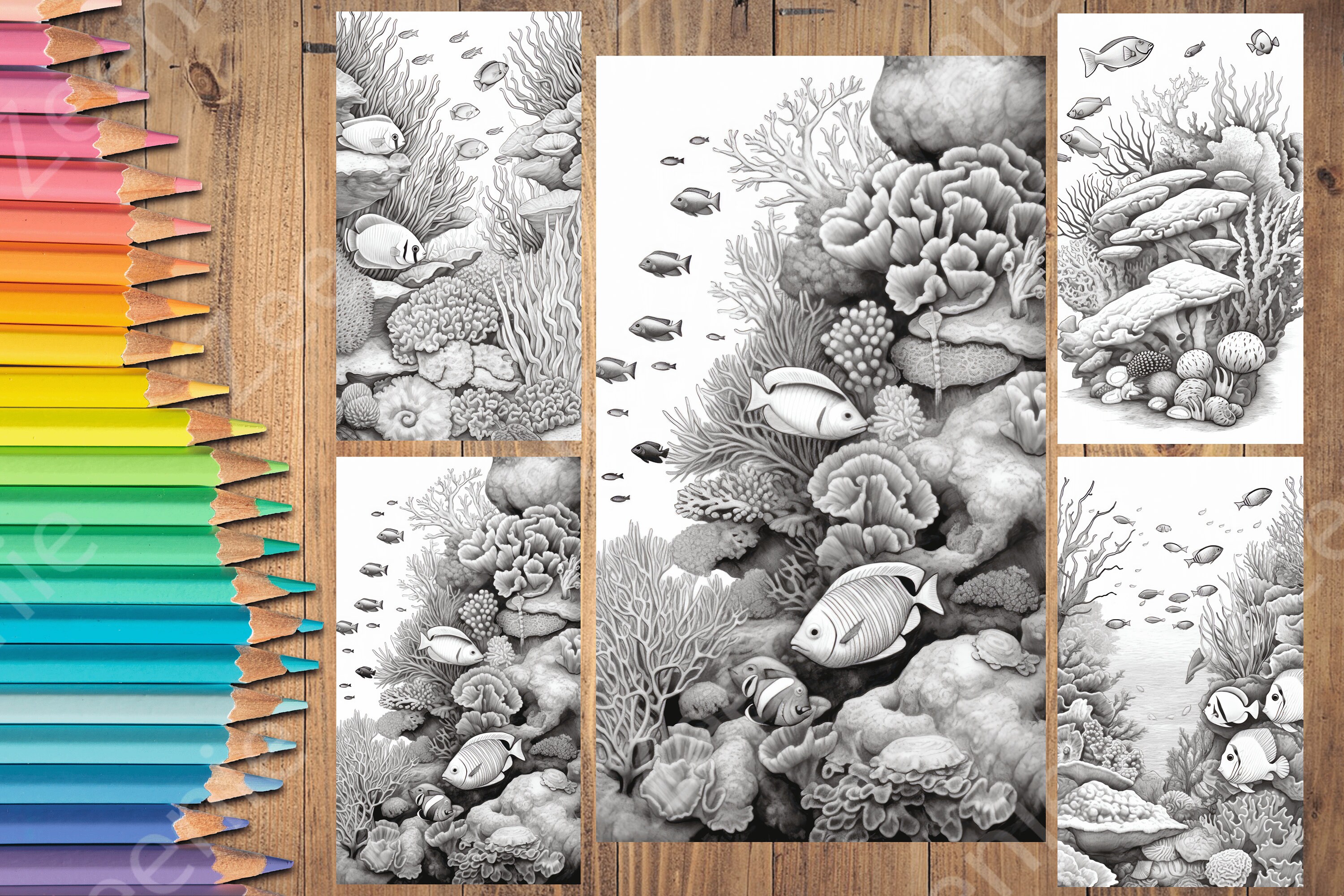 24 Underwater Coral Reef Coloring Book - Adults Kids Coloring Pages ...