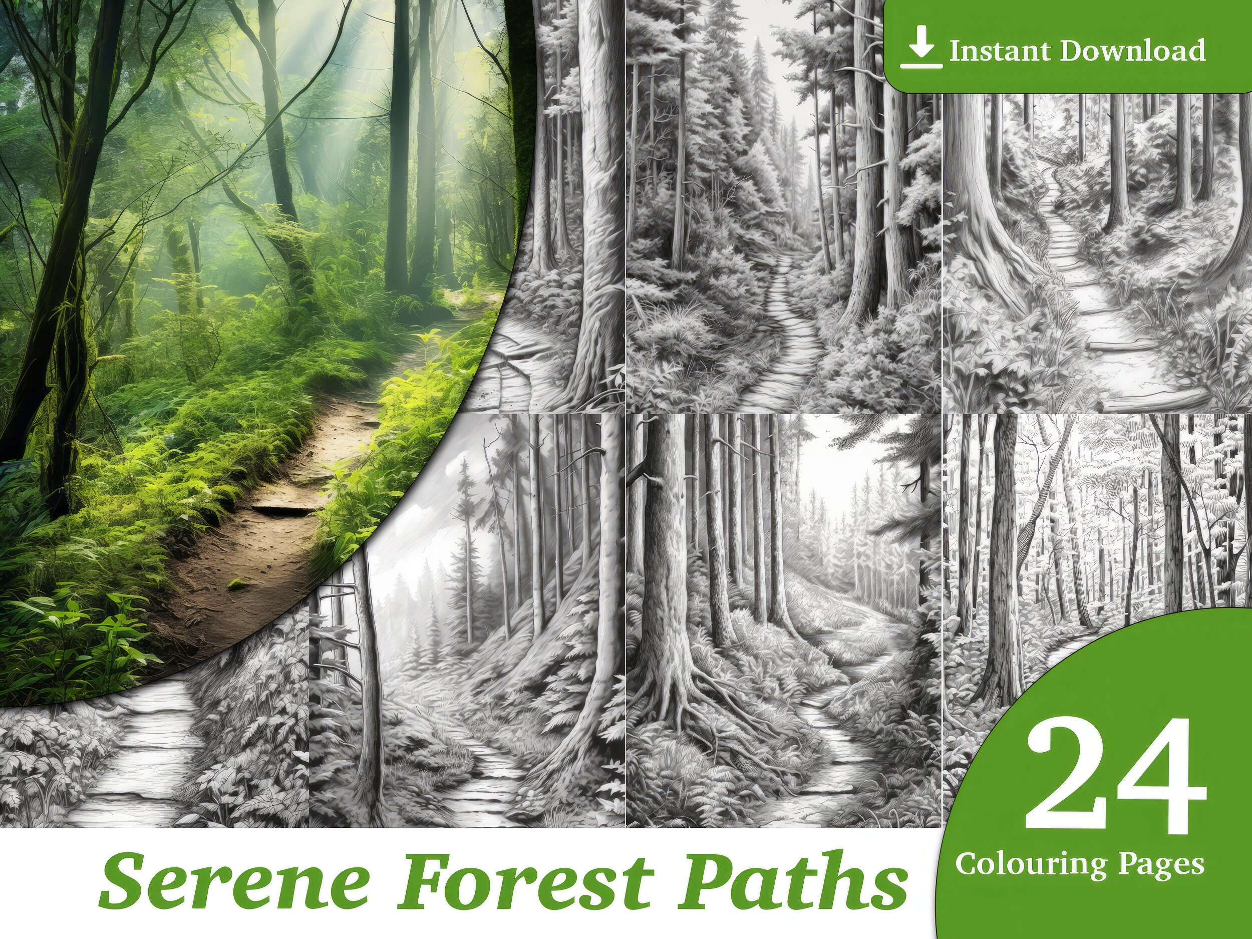 24 Serene Forest Paths Coloring Book - Adults Kids Coloring Pages ...