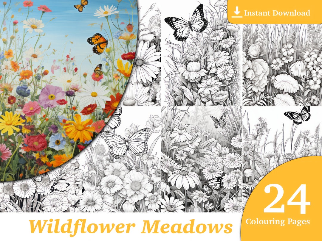24 Wildflower Meadows Coloring Book - Adults Kids Coloring Pages ...