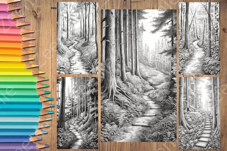 24 Serene Forest Paths Coloring Book - Adults Kids Coloring Pages ...