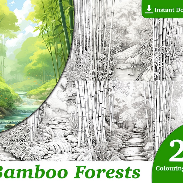 Bamboo Coloring - Etsy
