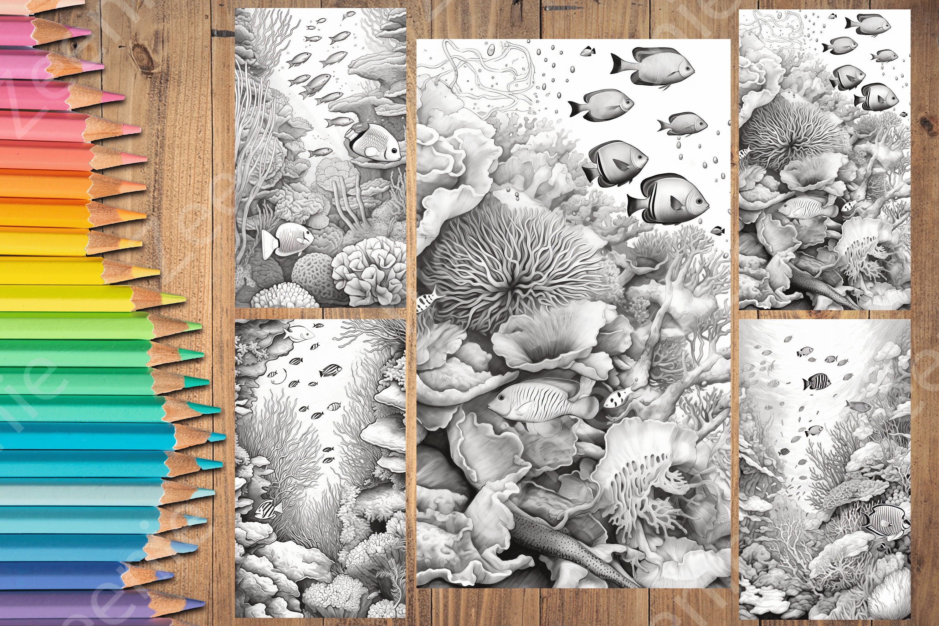 24 Underwater Coral Reef Coloring Book - Adults Kids Coloring Pages ...