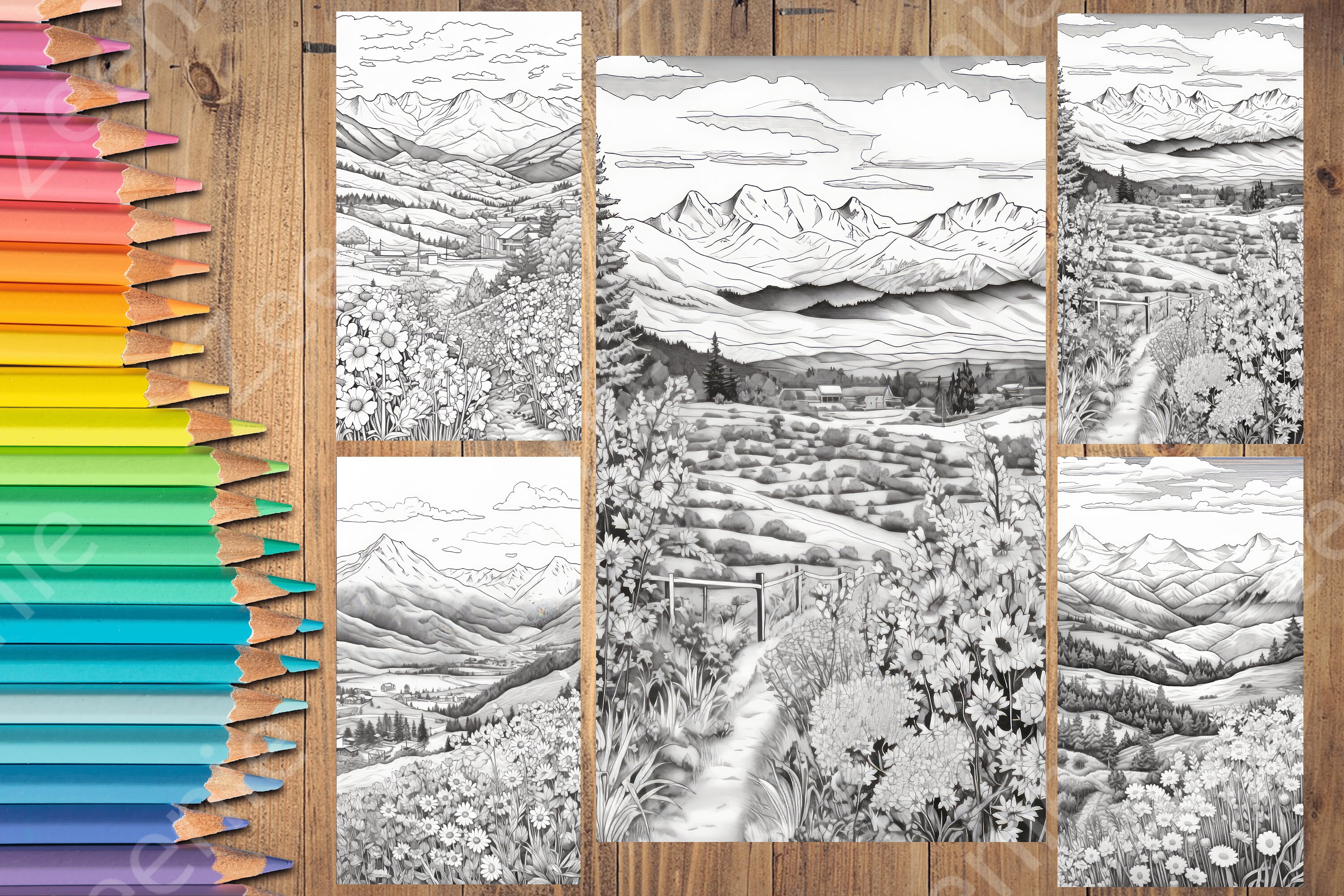 24 Alpine Meadows Coloring Book - Adults Kids Coloring Pages, Instant ...