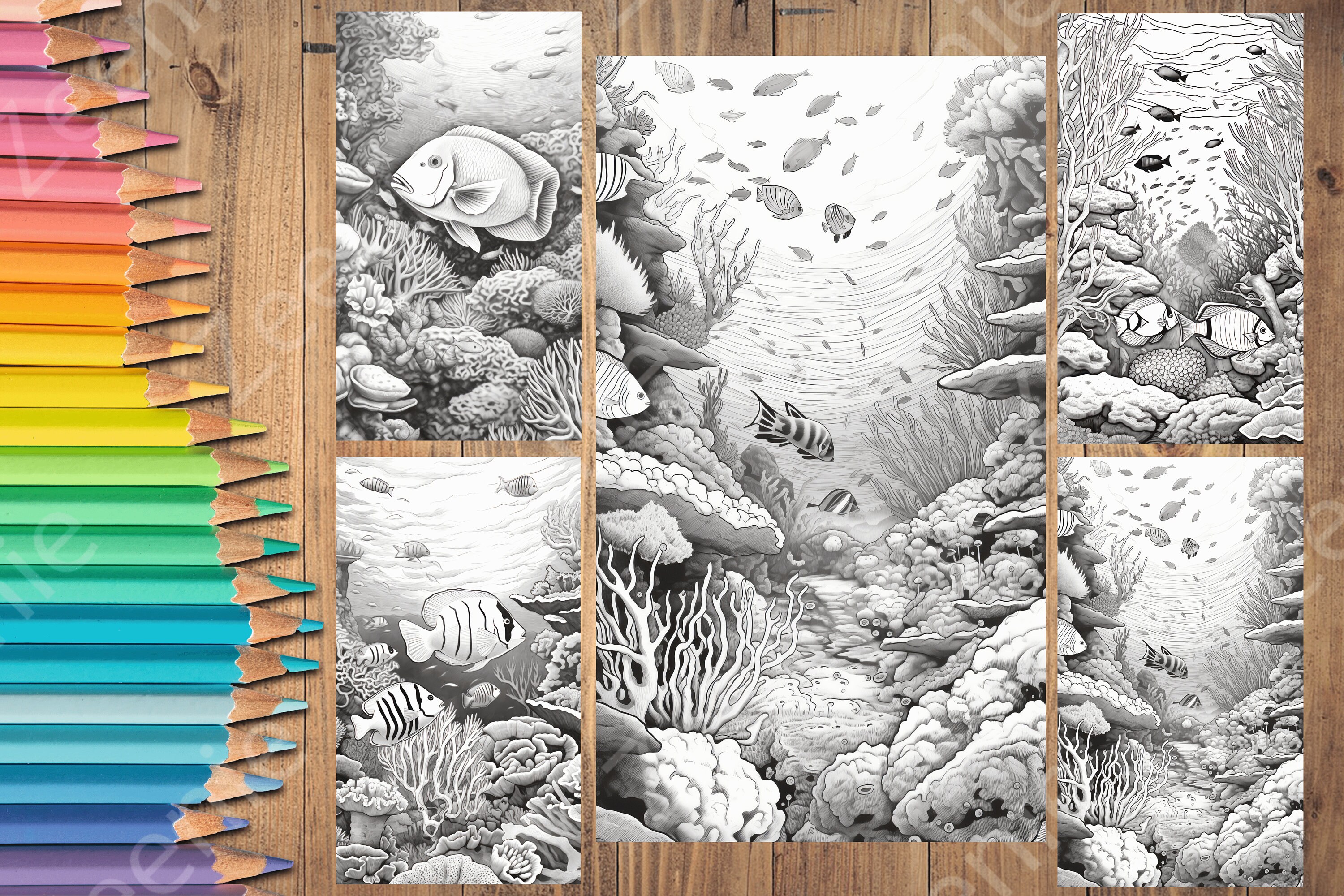 24 Underwater Coral Reef Coloring Book - Adults Kids Coloring Pages ...