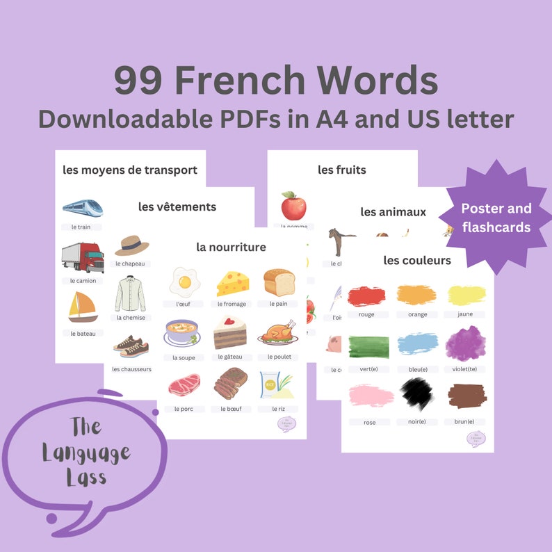 99 French Words | French Vocabulary | French Flashcards - Etsy