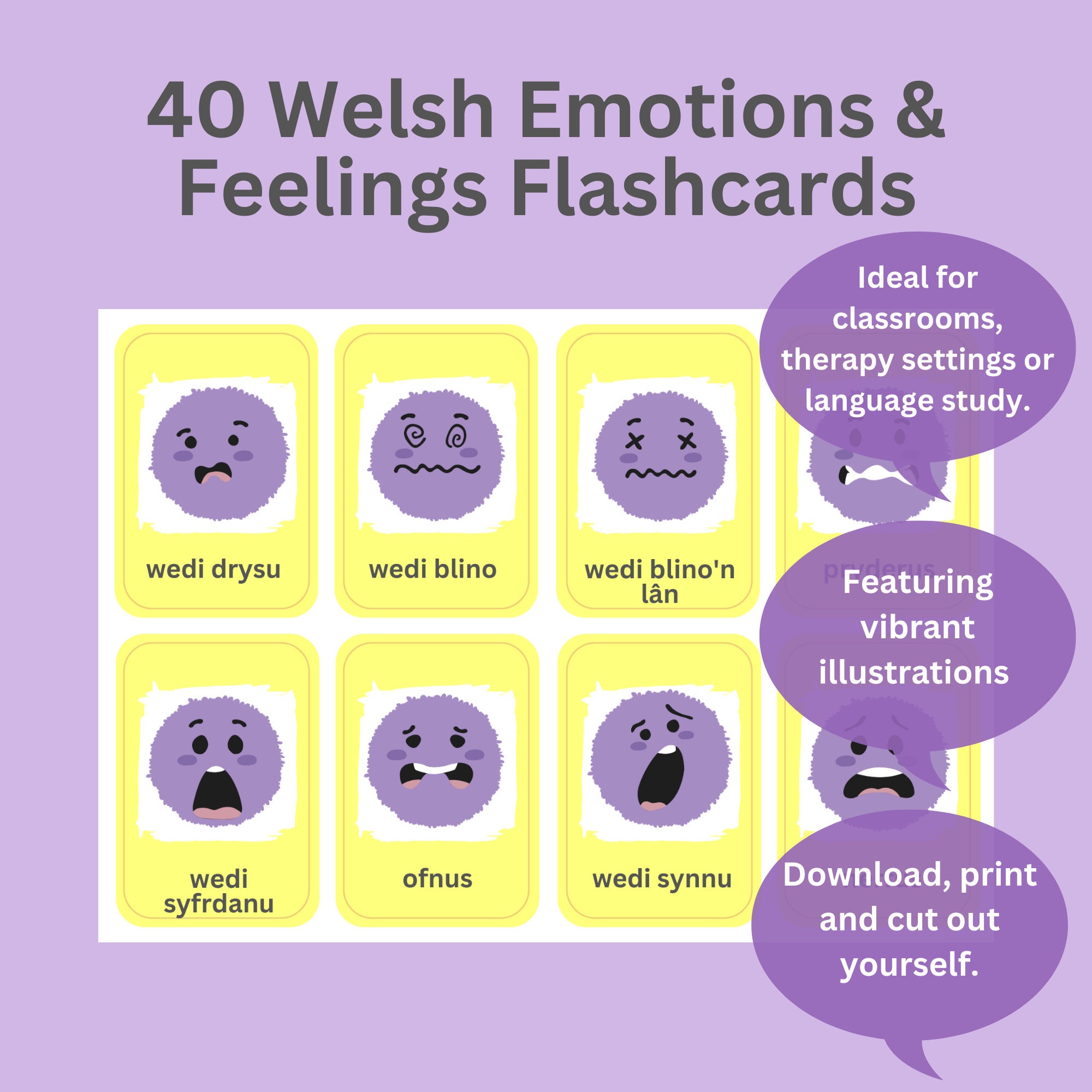 40 Welsh Emotions Flashcards | Welsh Vocabulary Cards | Dysgu Cymraeg ...