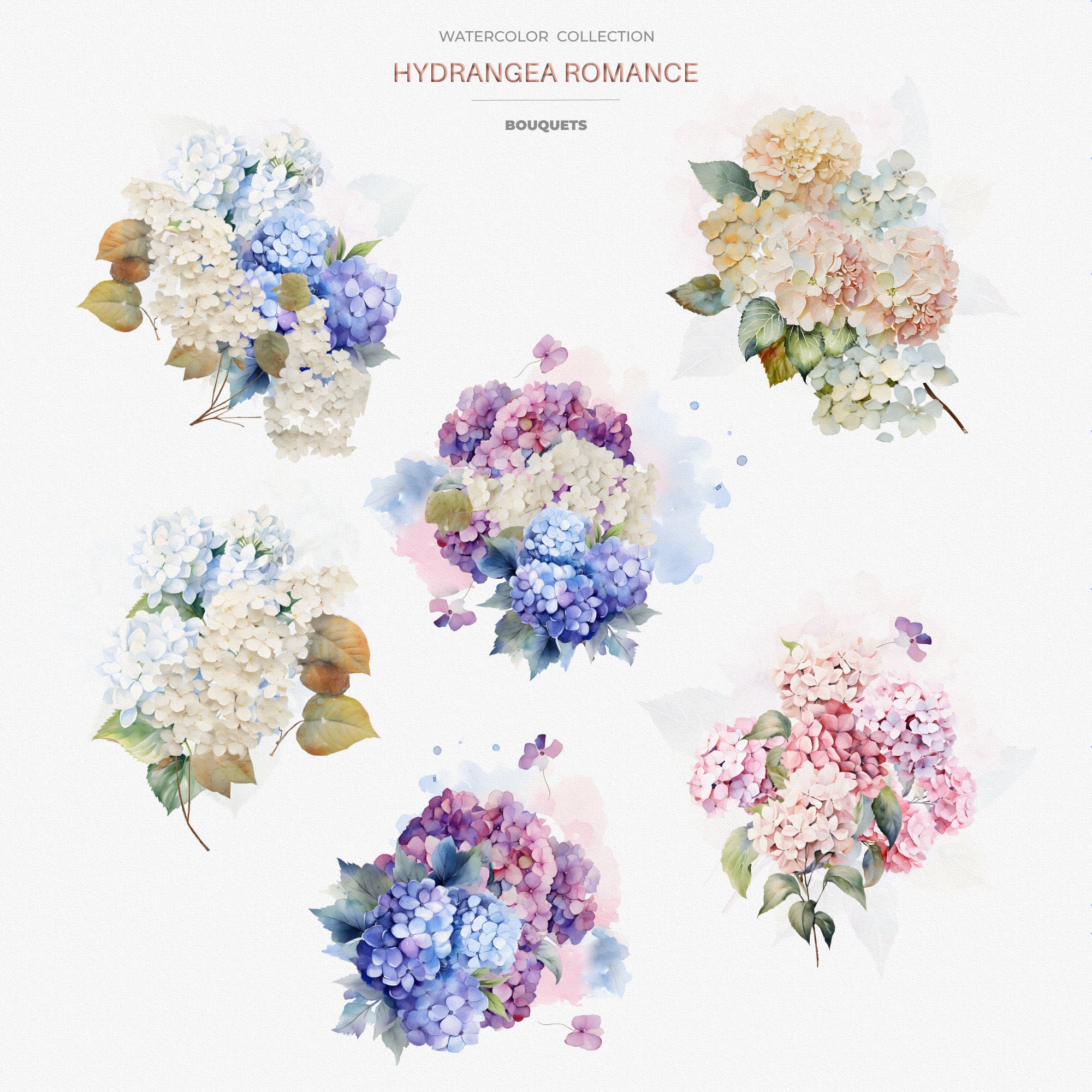 Watercolor Hydrangea - Watercolor Hydrangea Clipart - Watercolor ...