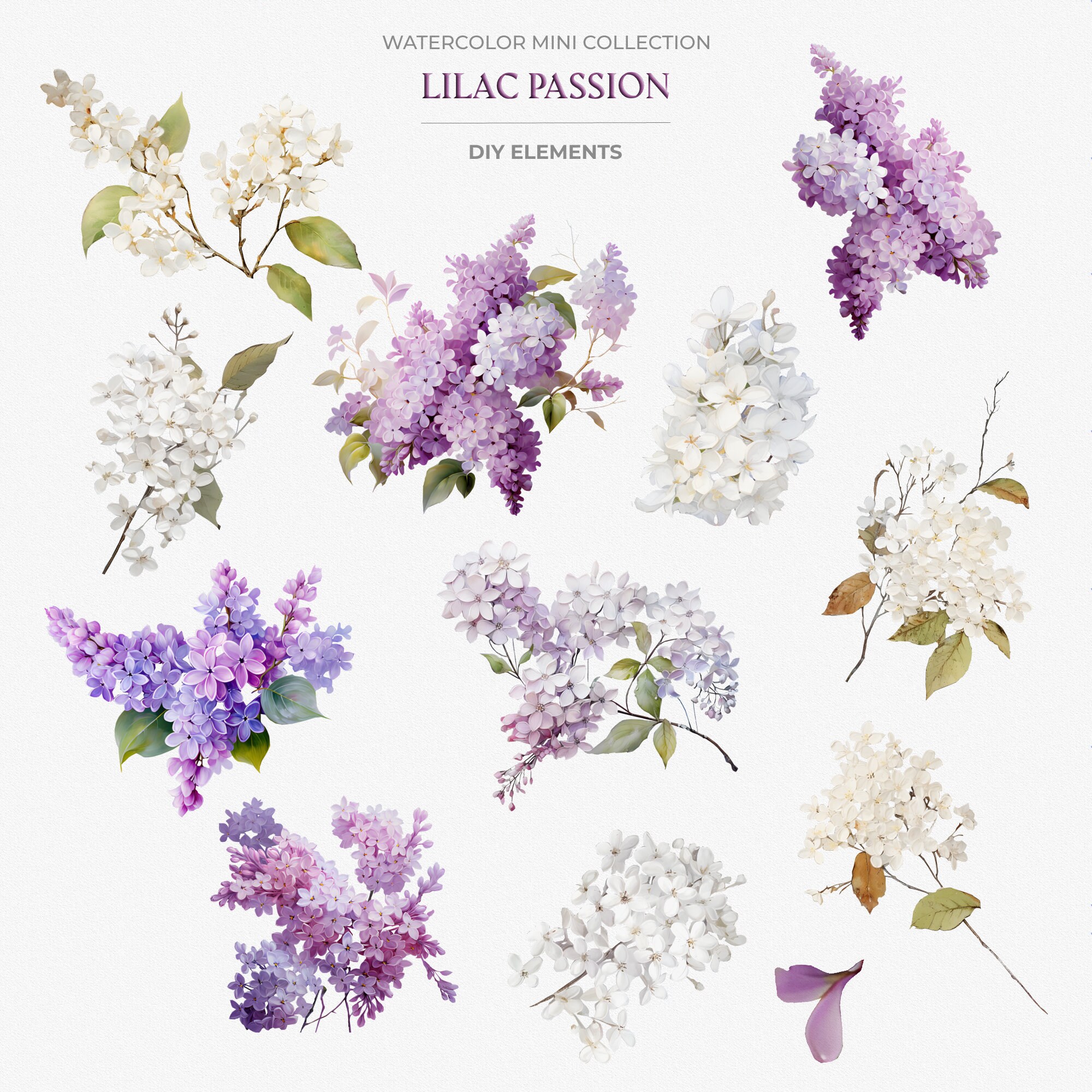 Watercolor Lilac Floral Clipart, Purple Lilac, Watercolor Floral ...