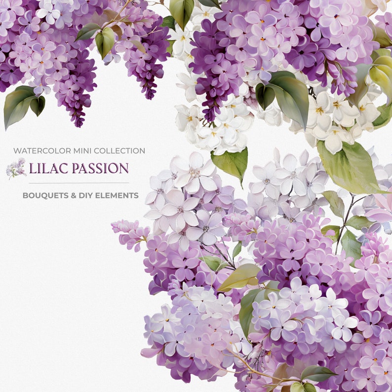 Watercolor Lilac Floral Clipart, Purple Lilac, Watercolor Floral ...