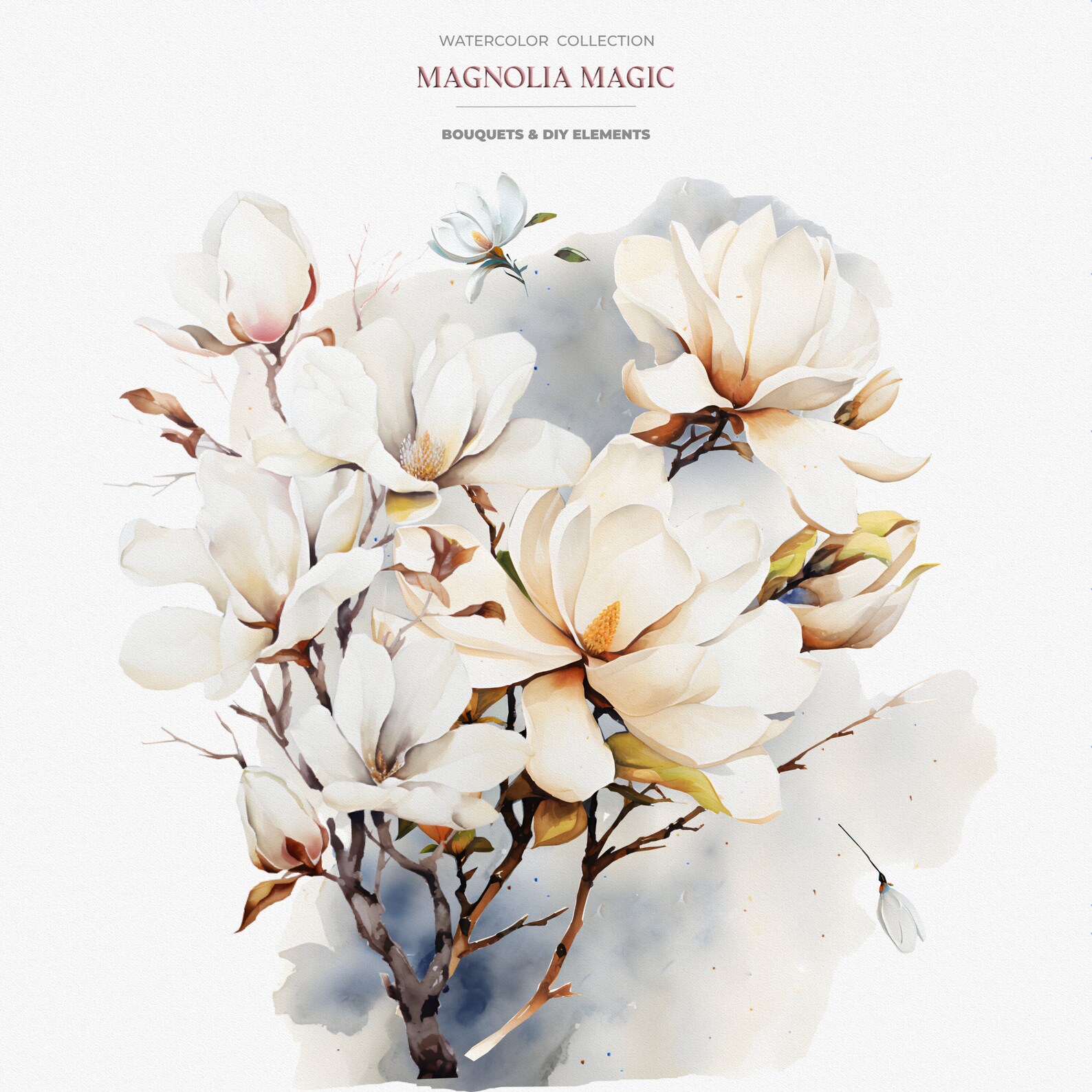 Watercolor Magnolia Clipart - Watercolor Flowers - Watercolor Floral ...