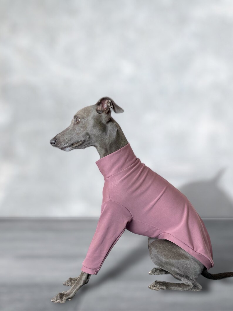 Whippet Jumper. Long Sleeve, Half Suit - Etsy