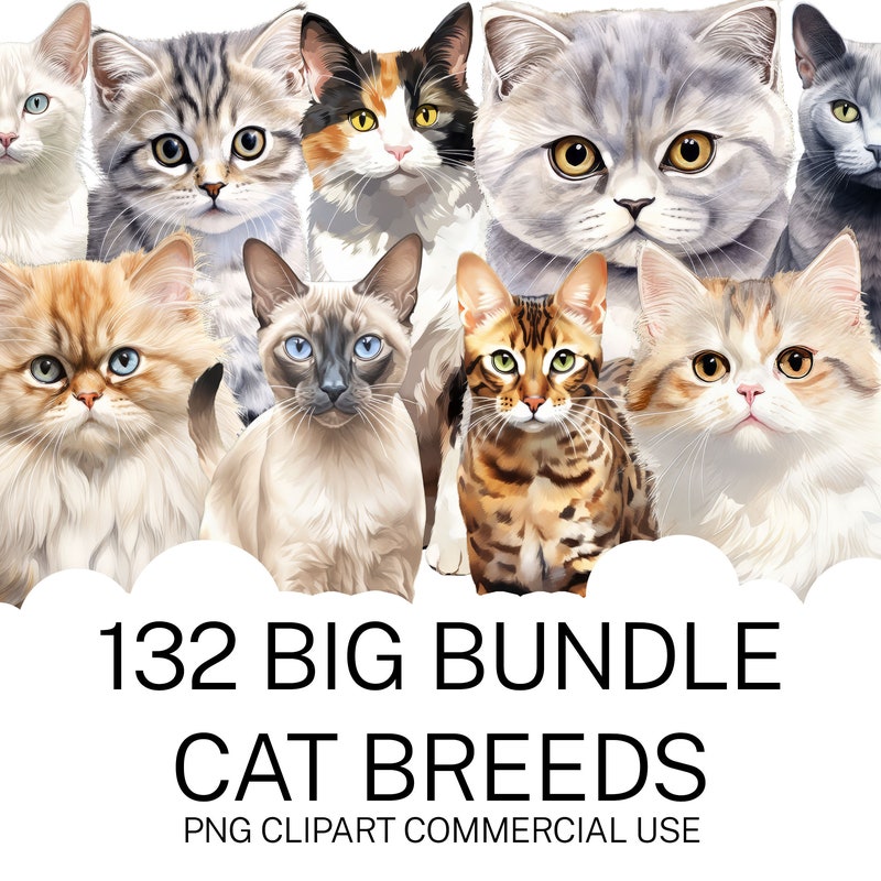 Cat Breeds Clipart - Etsy