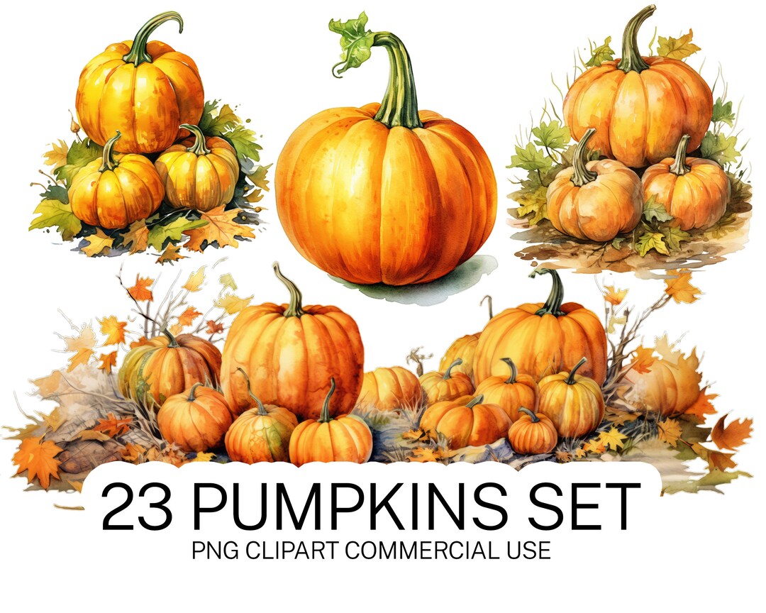 Pumpkin Clipart Set: 23 Transparent PNG Images (digital Download) - Etsy
