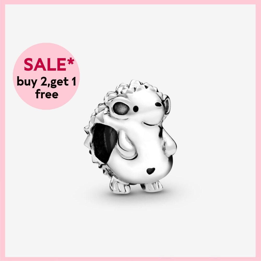 Nino the Hedgehog Charm,silver Charm,bracelet Charms,charms for ...
