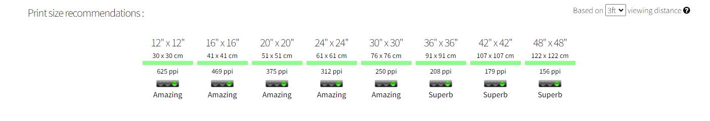 On the Move Printable-limited Edition, T-shirts, Sublimation, Lowbrow ...