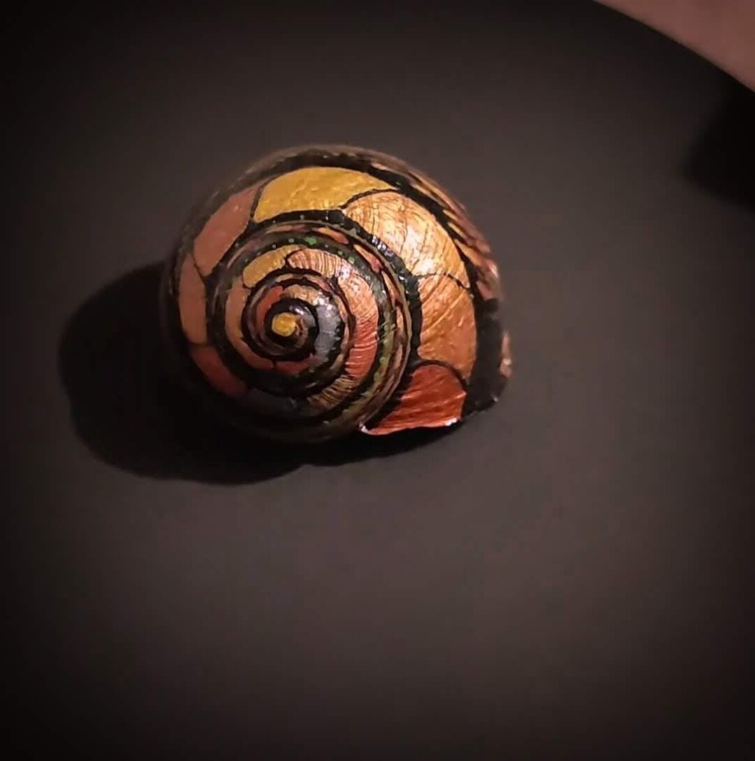 Earth Dragon Snail Shell, Hand-painted Terrestrial Snail Shell (roman ...