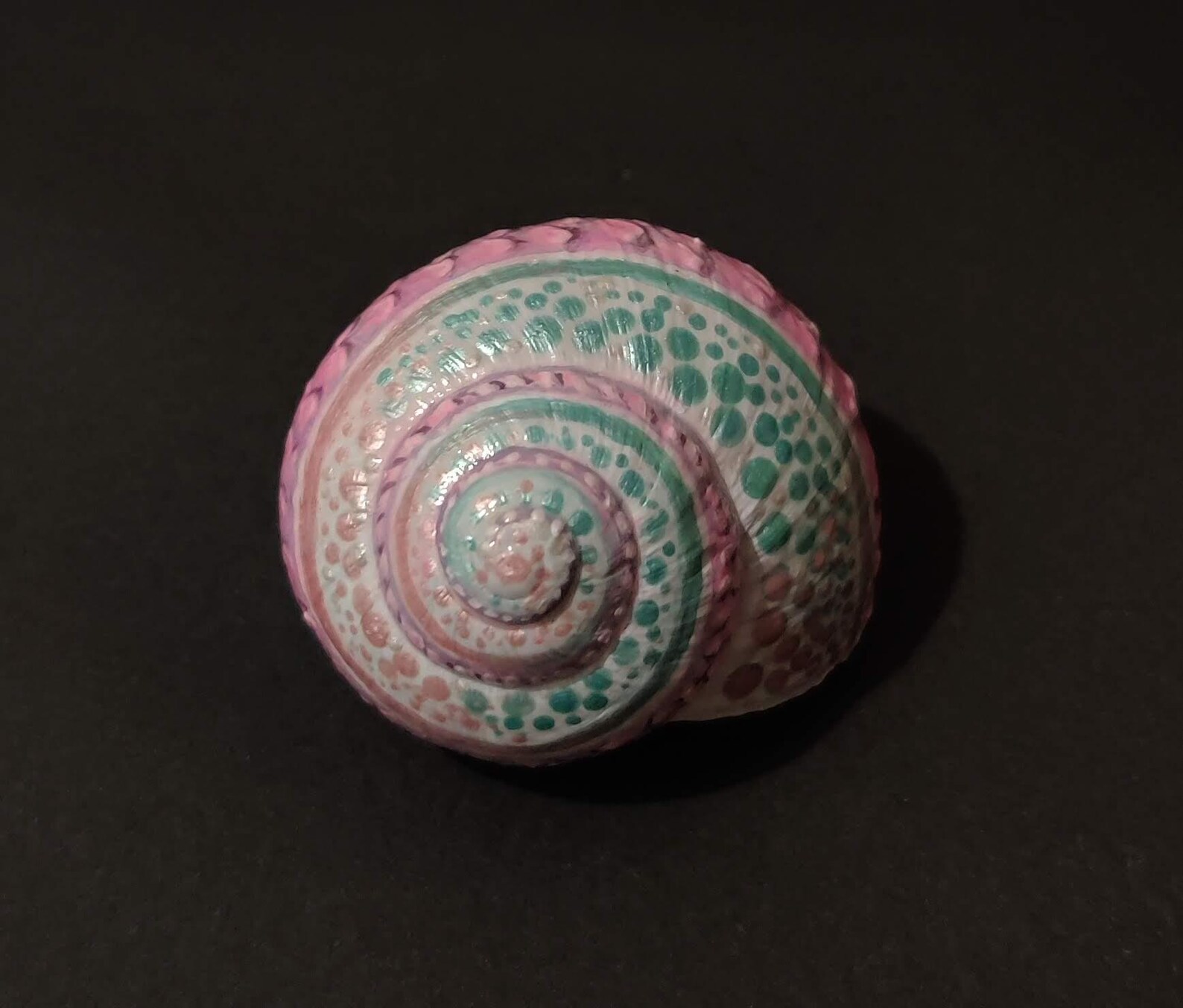 Scaly Snail Shell Pink, Hand-painted Terrestrial Snail Shell, Cruelty ...