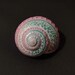 Scaly Snail Shell Pink, Hand-painted Terrestrial Snail Shell, Cruelty ...