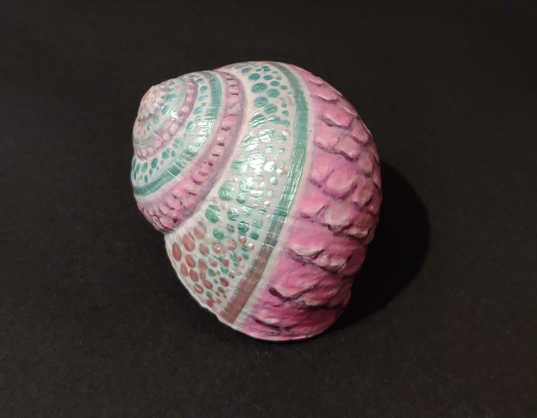 Scaly Snail Shell Pink, Hand-painted Terrestrial Snail Shell, Cruelty ...