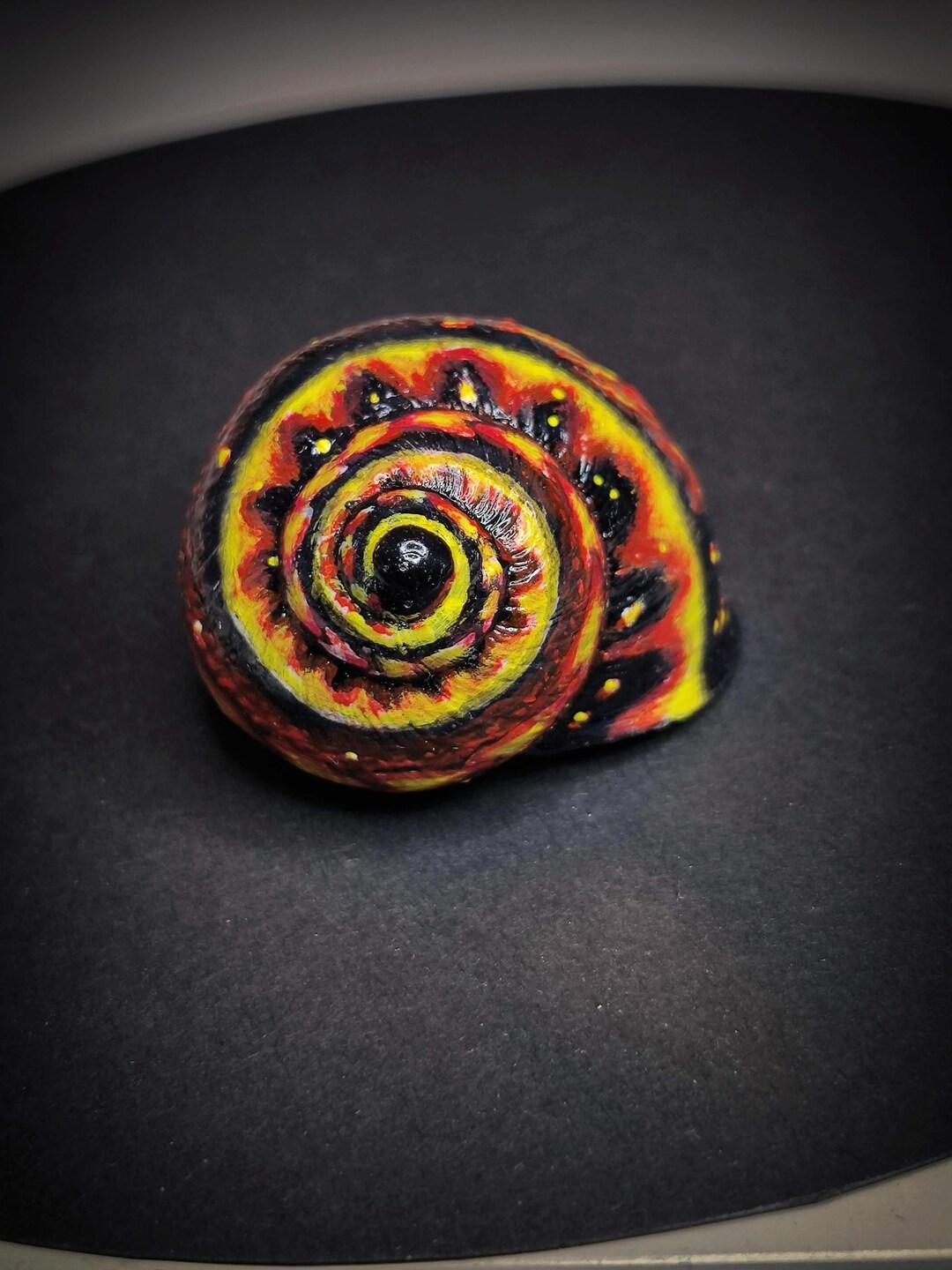 Dragon of Fire Snail Shell, Hand-painted Terrestrial Snail Shell (roman ...