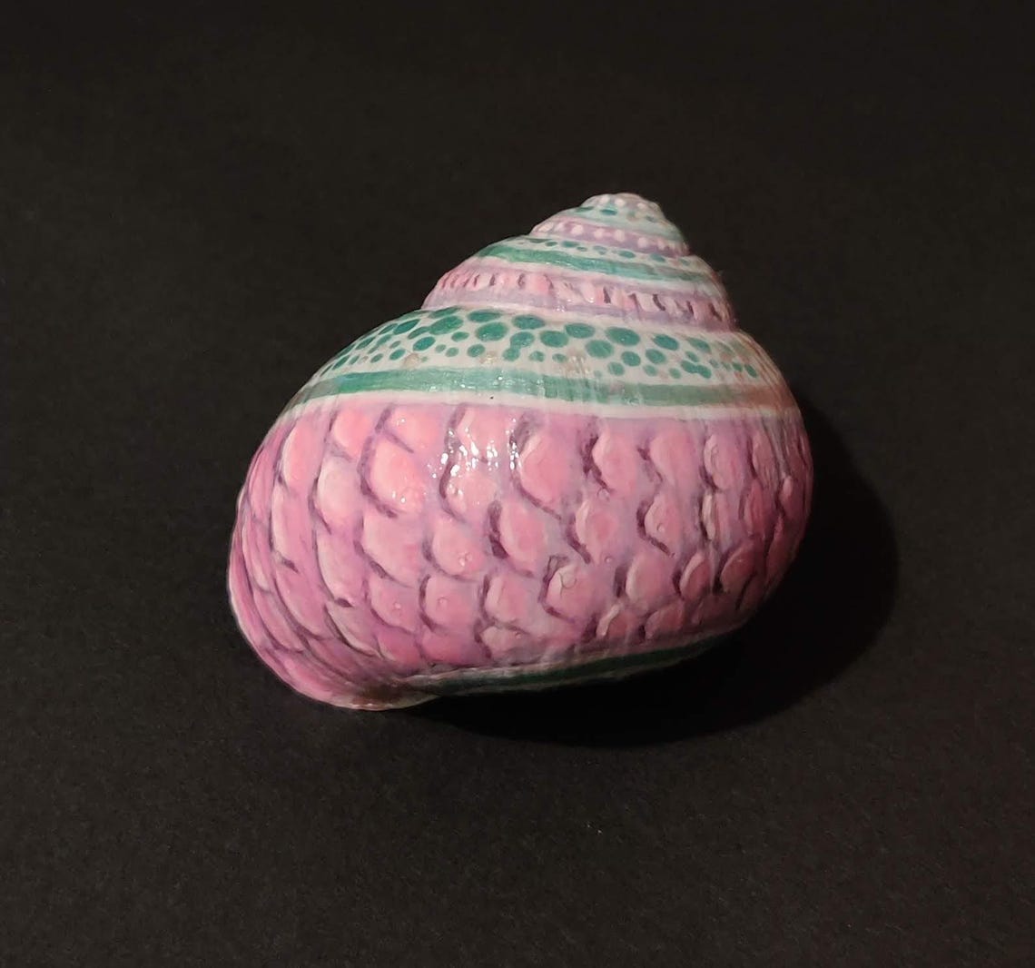 Scaly Snail Shell Pink, Hand-painted Terrestrial Snail Shell, Cruelty ...