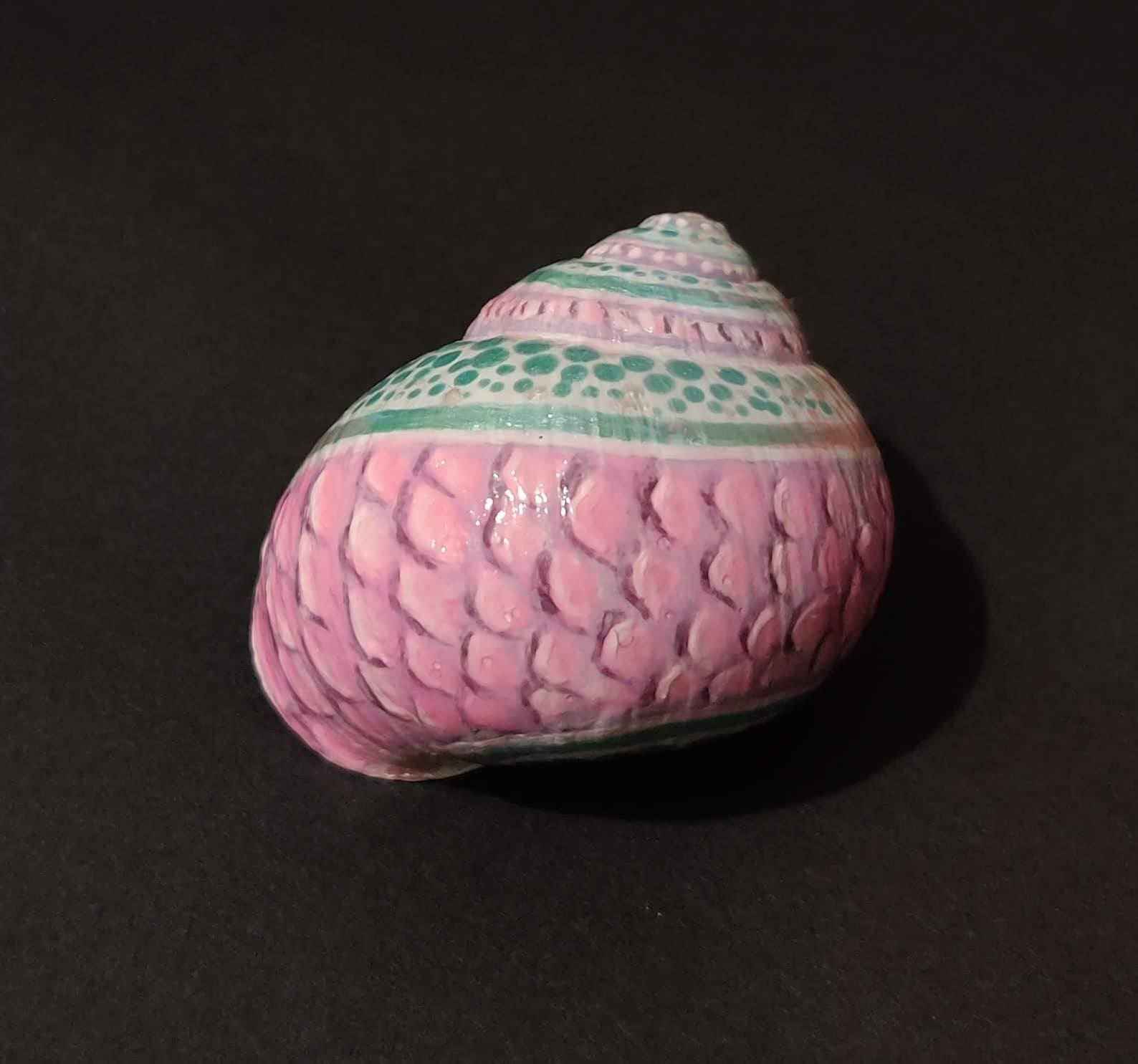 Scaly Snail Shell Pink, Hand-painted Terrestrial Snail Shell, Cruelty ...