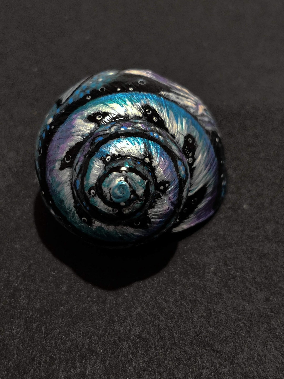 Water Dragon Snail Shell, Hand-painted Terrestrial Snail Shell (roman ...