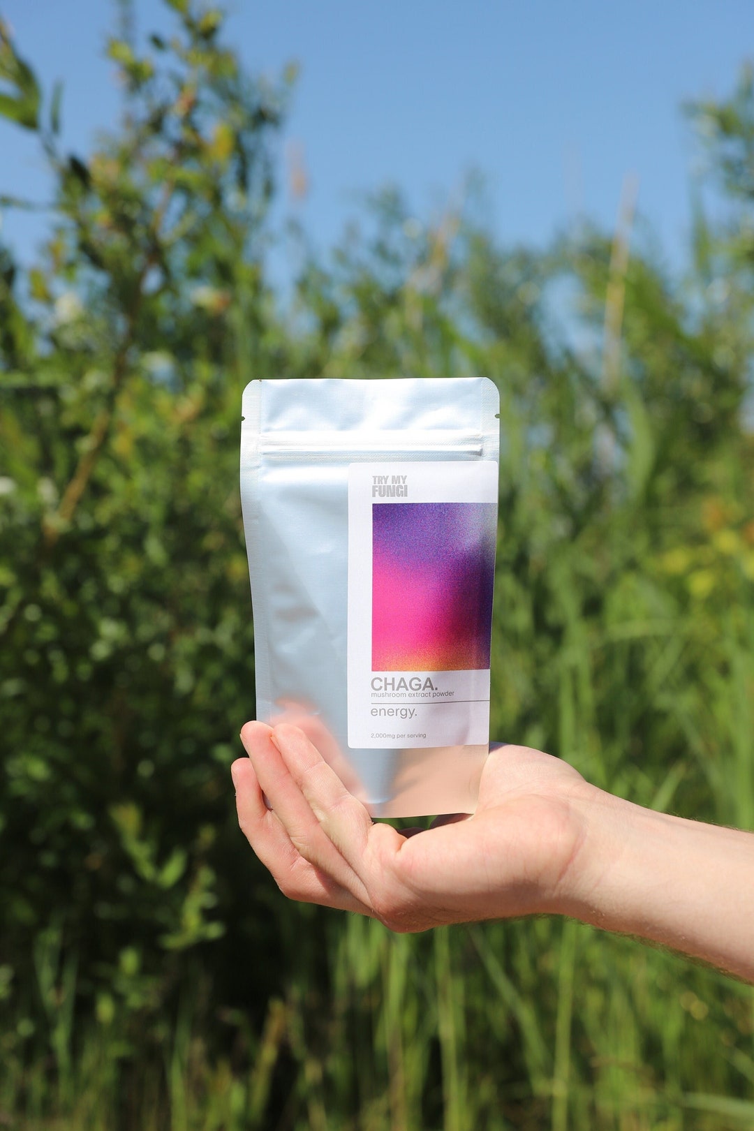 100% Pure Chaga Mushroom Extract Powder Nature's Antioxidant Powerhouse ...