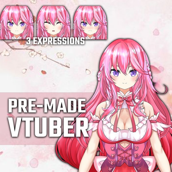 Premade Vtuber - Etsy