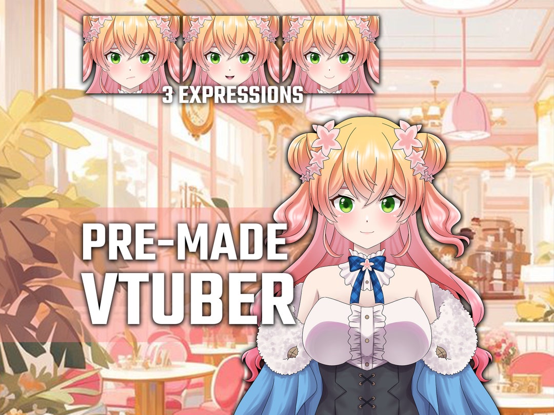 Premade Vtuber Model, Live2d Vtuber Model and Rigging Included, Vtuber Model Adopt With Vtuber ...
