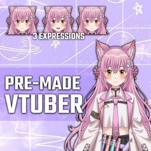 Premade Vtuber Model, Live2d Vtuber Model and Rigging Included, Vtuber Model Adopt With Vtuber ...