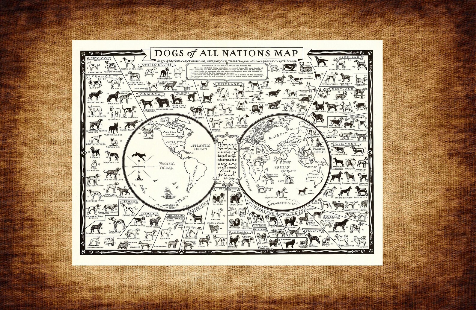 Old Dogs of All Nations Worldmap JPG File Hight Resolution for Vintage ...