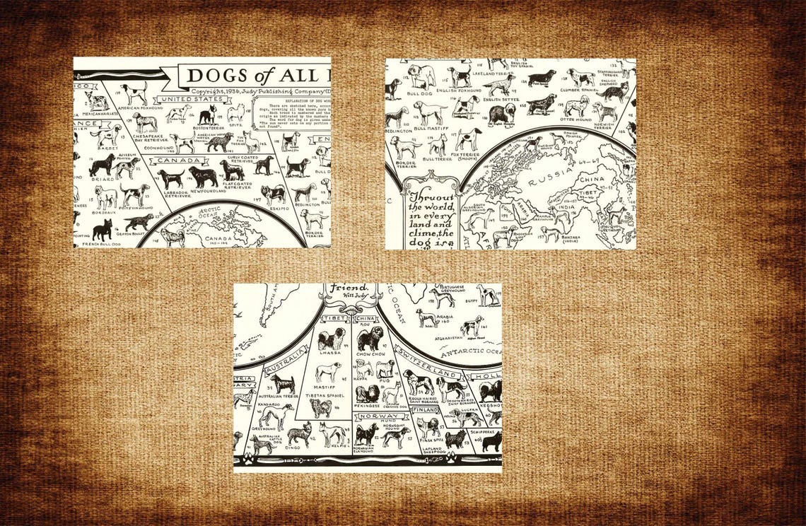 Old Dogs of All Nations Worldmap JPG File Hight Resolution for Vintage ...