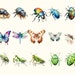 Watercolor Insects and Bugs Clipart for Books Stickers - Etsy