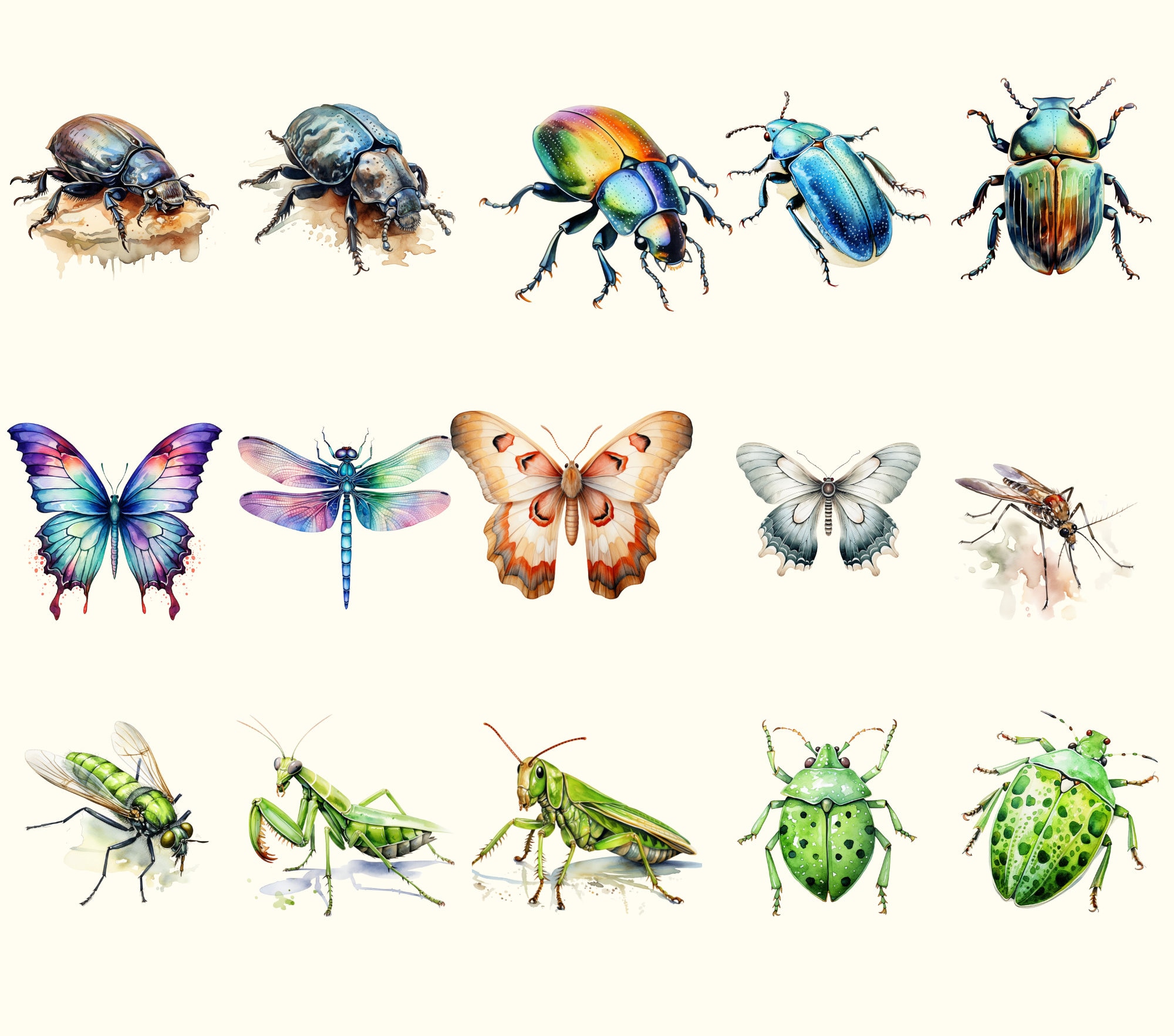 Watercolor Insects and Bugs Clipart for Books Stickers - Etsy
