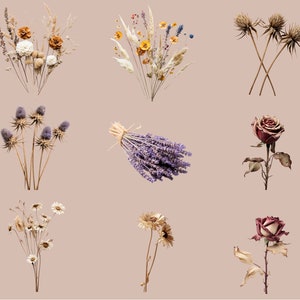 Dried Flowers Clipart PNG for Wedding Invitation, Instagram Post and ...