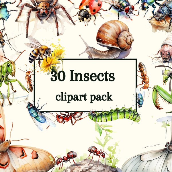 Insect Watercolor - Etsy