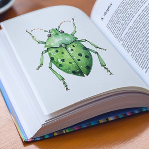 Watercolor Insects and Bugs Clipart for Books, Stickers, Illustrations ...