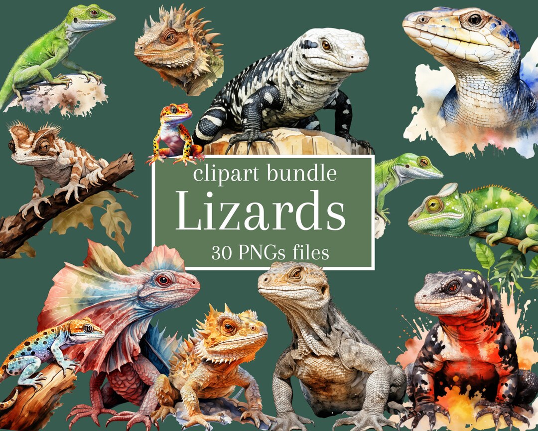 Watercolor Lizards 300 Dpi Clipart Bundle for Commercial Use Ideal for ...
