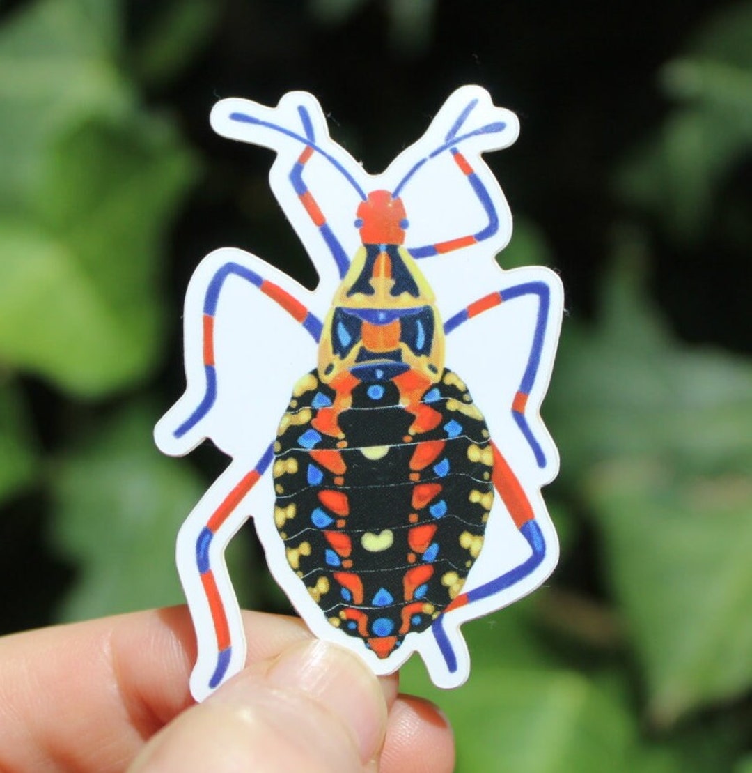 Jazzy Beetle Sticker - Etsy