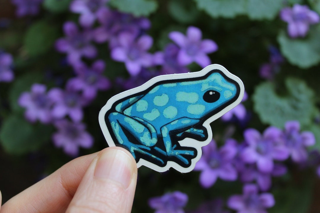 Frog Sticker Blue Poison Dart Frog Sticker - Etsy