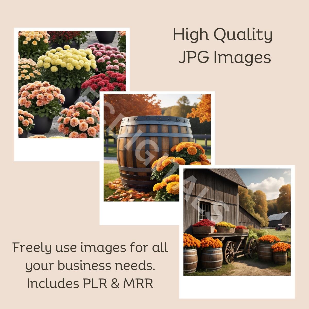 Fall Stock Photos, Cozy Autumn Stock Images, Social Media Photos, Fall ...