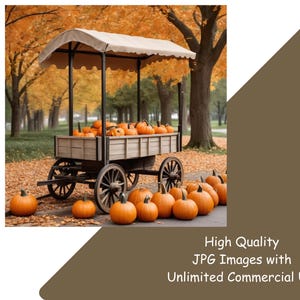 Fall Stock Photos, Cozy Autumn Stock Images, Social Media Photos, Fall ...