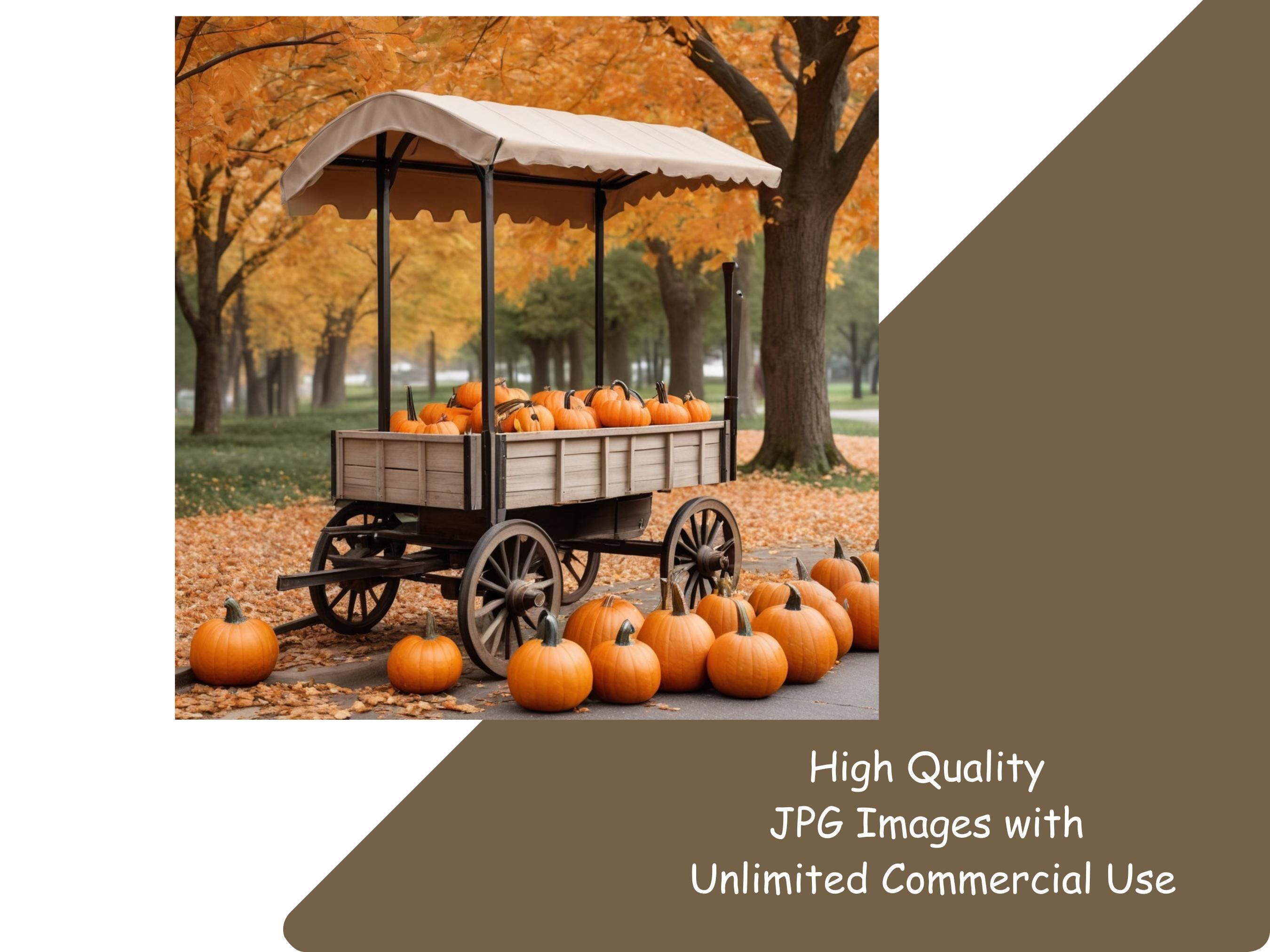 Fall Stock Photos, Cozy Autumn Stock Images, Social Media Photos, Fall ...