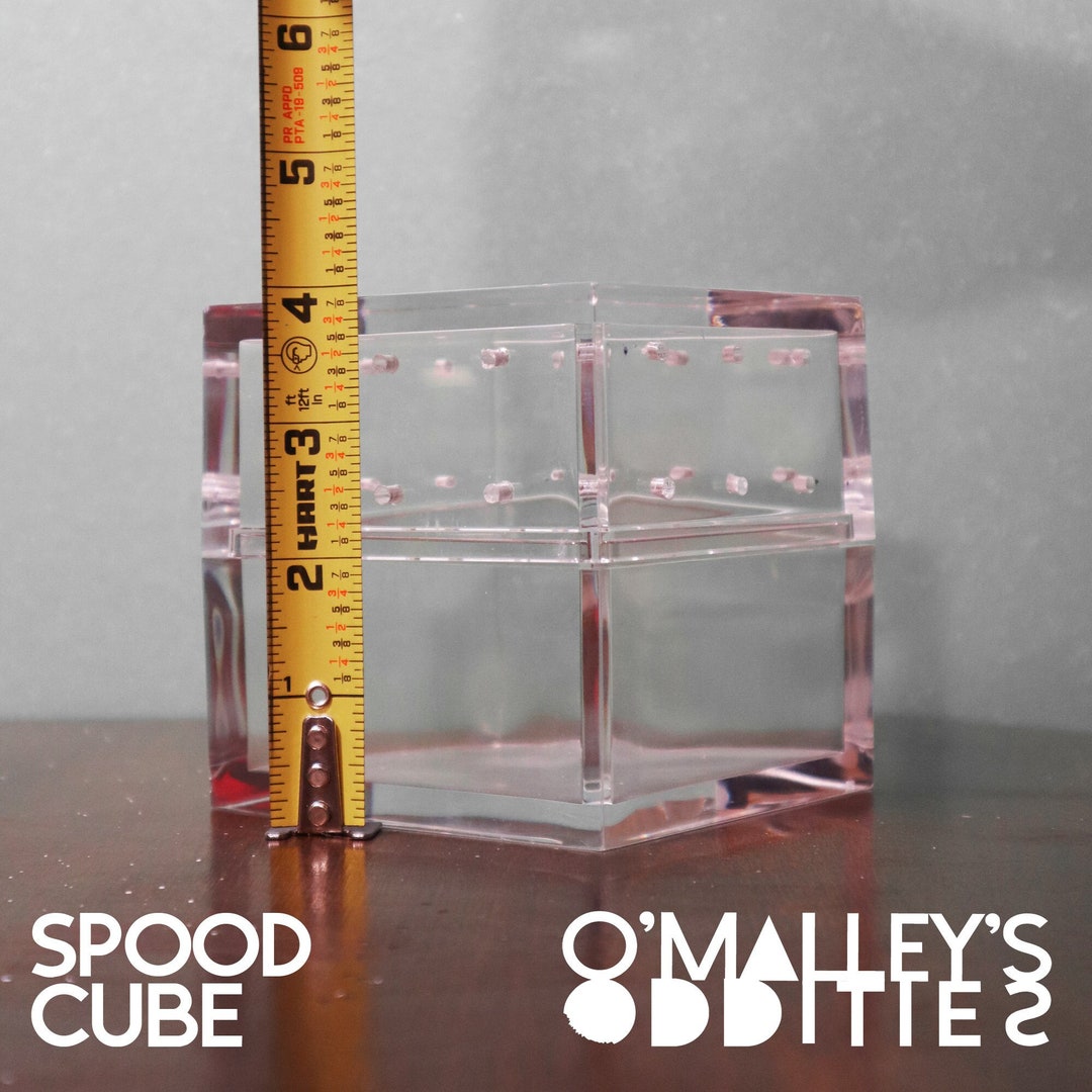Spood Cube Jumping Spider Enclosure 4 Tall, Perfect for Juvenile ...