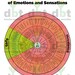 The DBT Wheel of Emotions and Sensations - Etsy