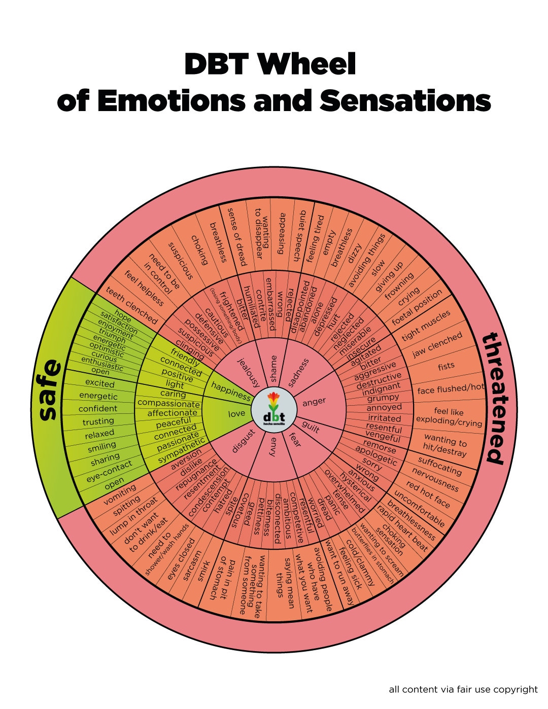 The DBT Wheel of Emotions and Sensations - Etsy